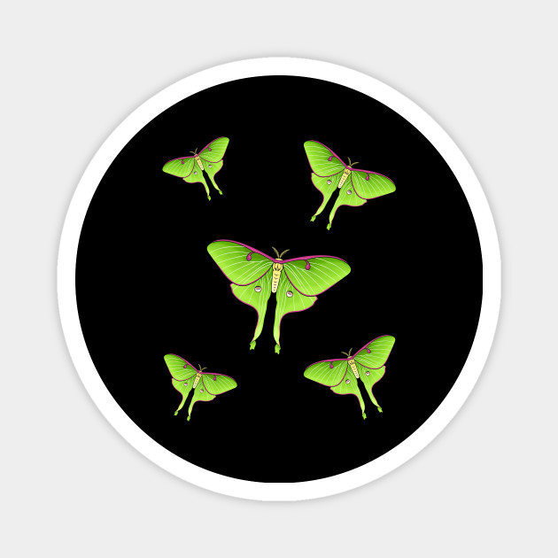 Luna Moth Cartoon Illustration Luna Moth Cartoon Illustration Magnet Teepublic